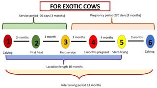 Unit 3 Reproduction of Livestock.pptx