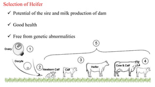 Unit 3 Reproduction of Livestock.pptx