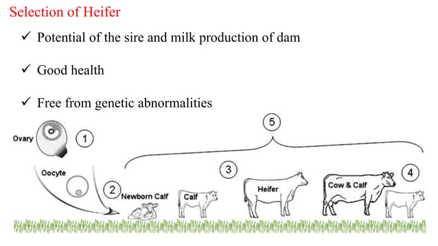 Unit 3 Reproduction of Livestock.pptx