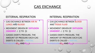 Unit 3 respiratory system and gas exchange(2) | PPTX