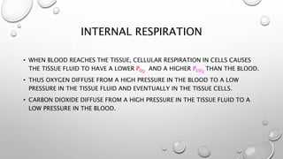 Unit 3 respiratory system and gas exchange(2) | PPTX