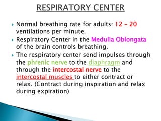 Unit 3 respiratory system and gas exchange(3) | PPTX