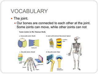unit 3 (second part).pptx