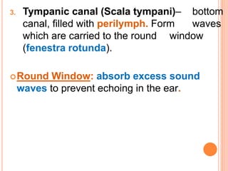 Unit 3 sence organs ear and nose(1) | PPT