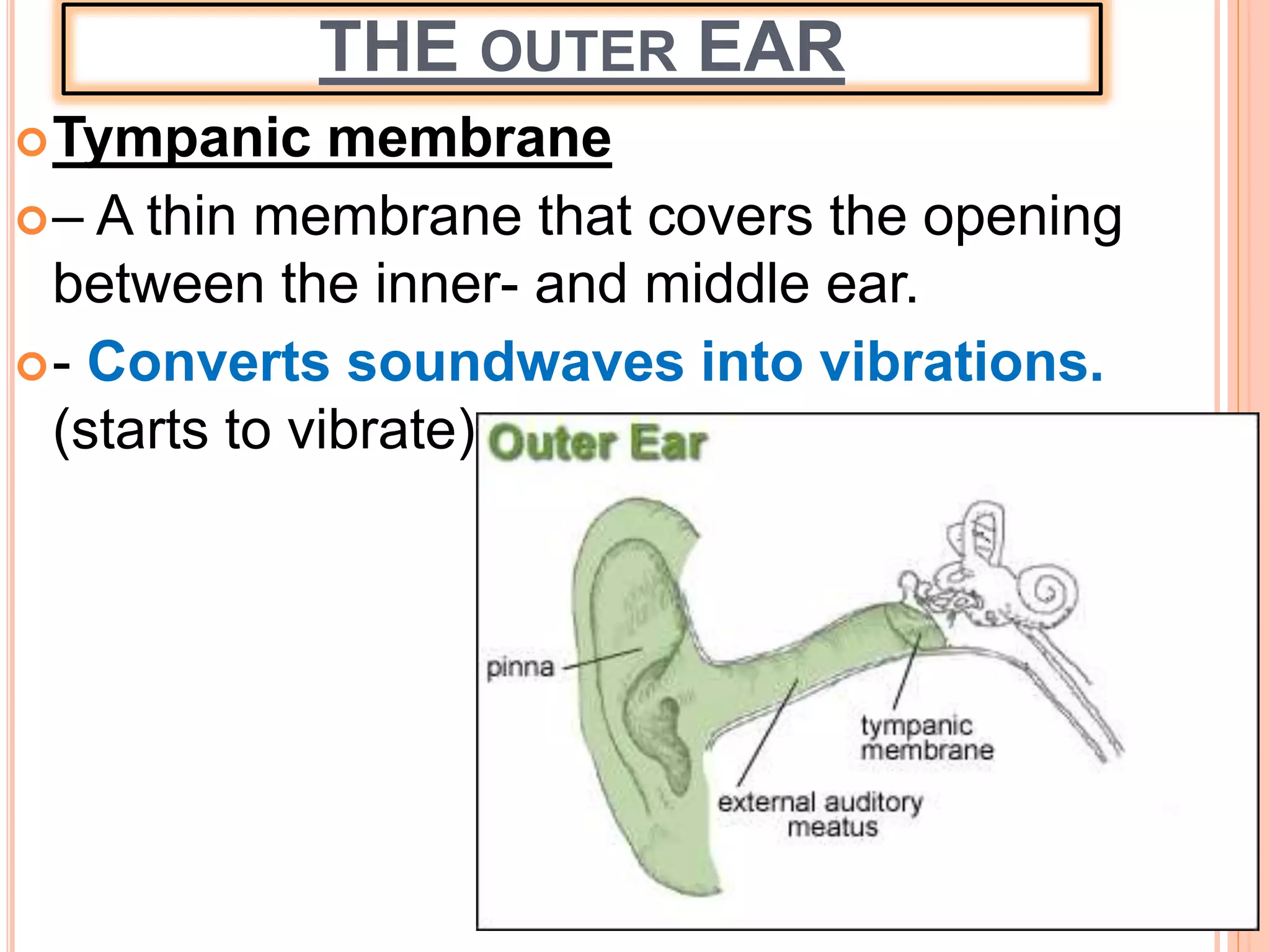 Unit 3 sence organs ear and nose(1) | PPT