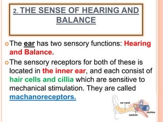 Unit 3 sence organs ear and nose(1) | PPTX