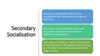 Unit 3_Socialisation (1).pptx