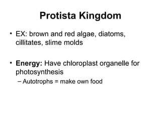 Unit3 the 5 kingdoms | PPT