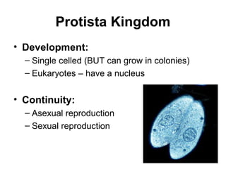 Unit3 the 5 kingdoms | PPT