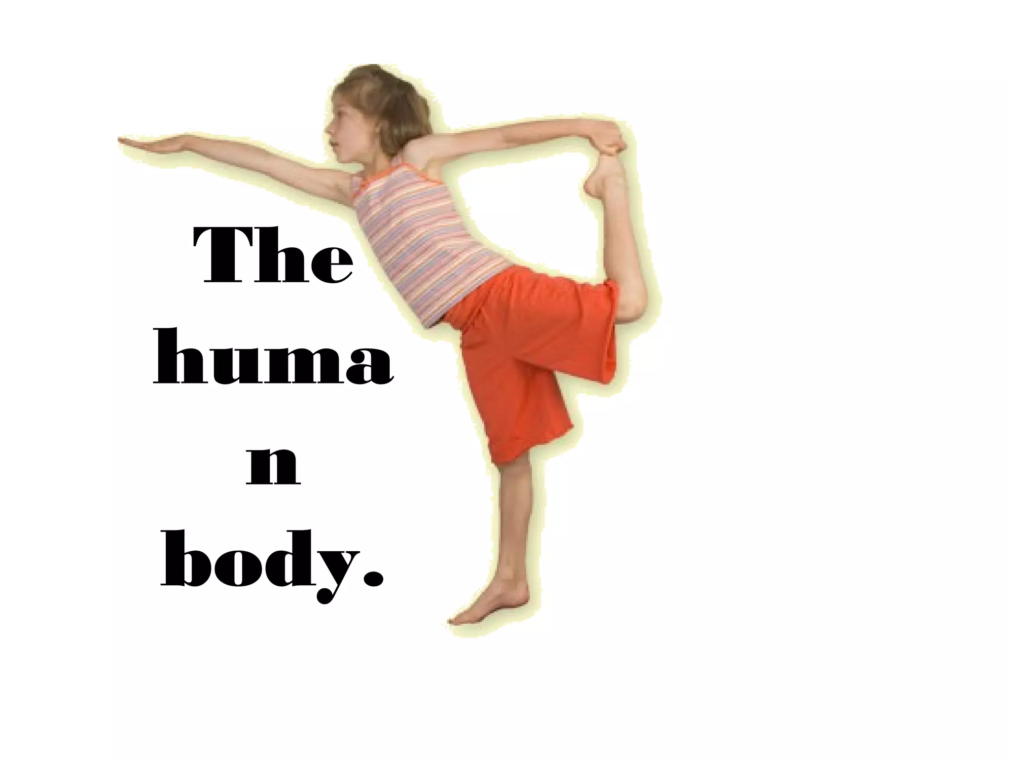 Unit 3 the body | PPT