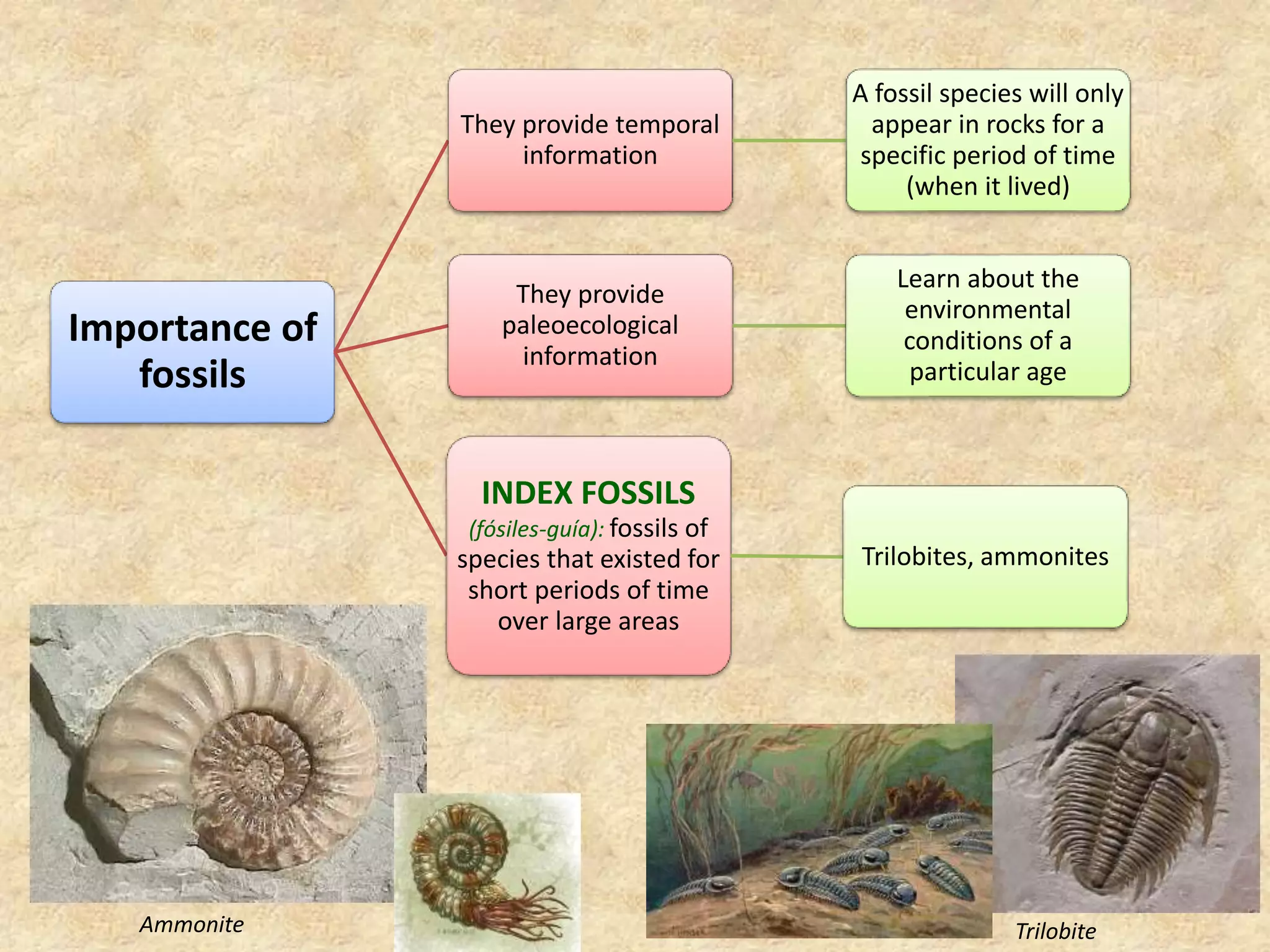 Unit3 The History of the Earth | PPTX
