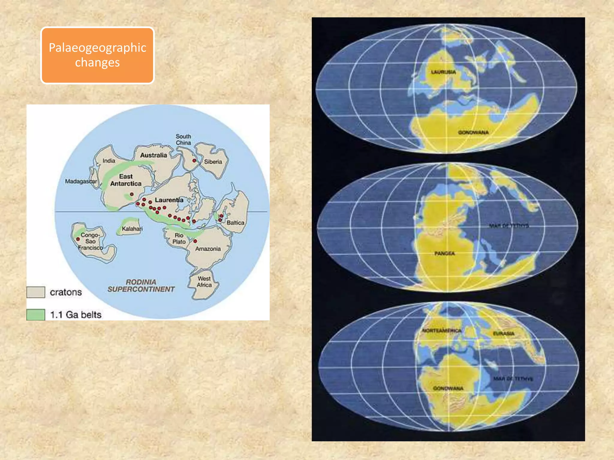 Unit3 The History of the Earth | PPTX