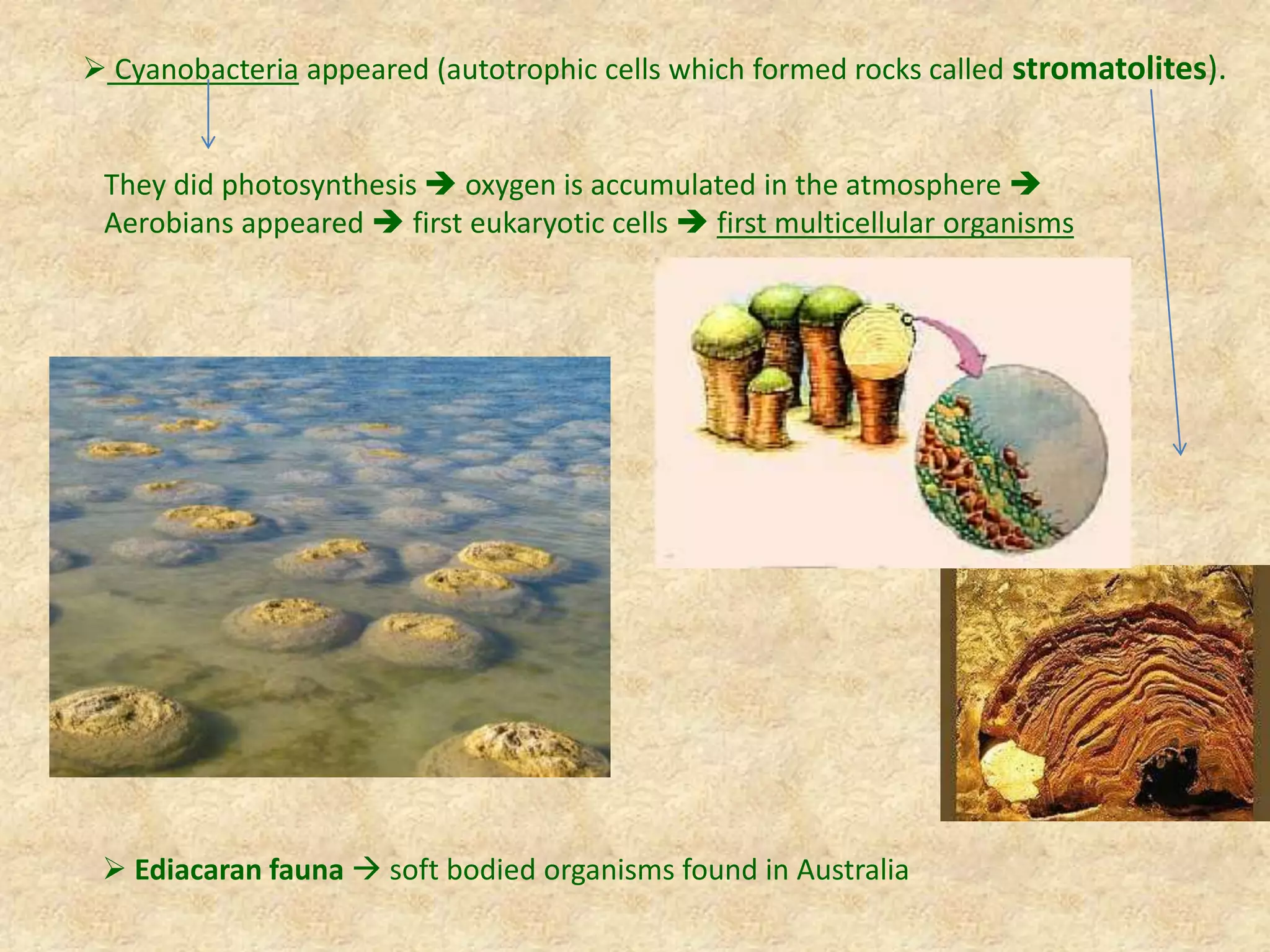 Unit3 The History of the Earth | PPTX