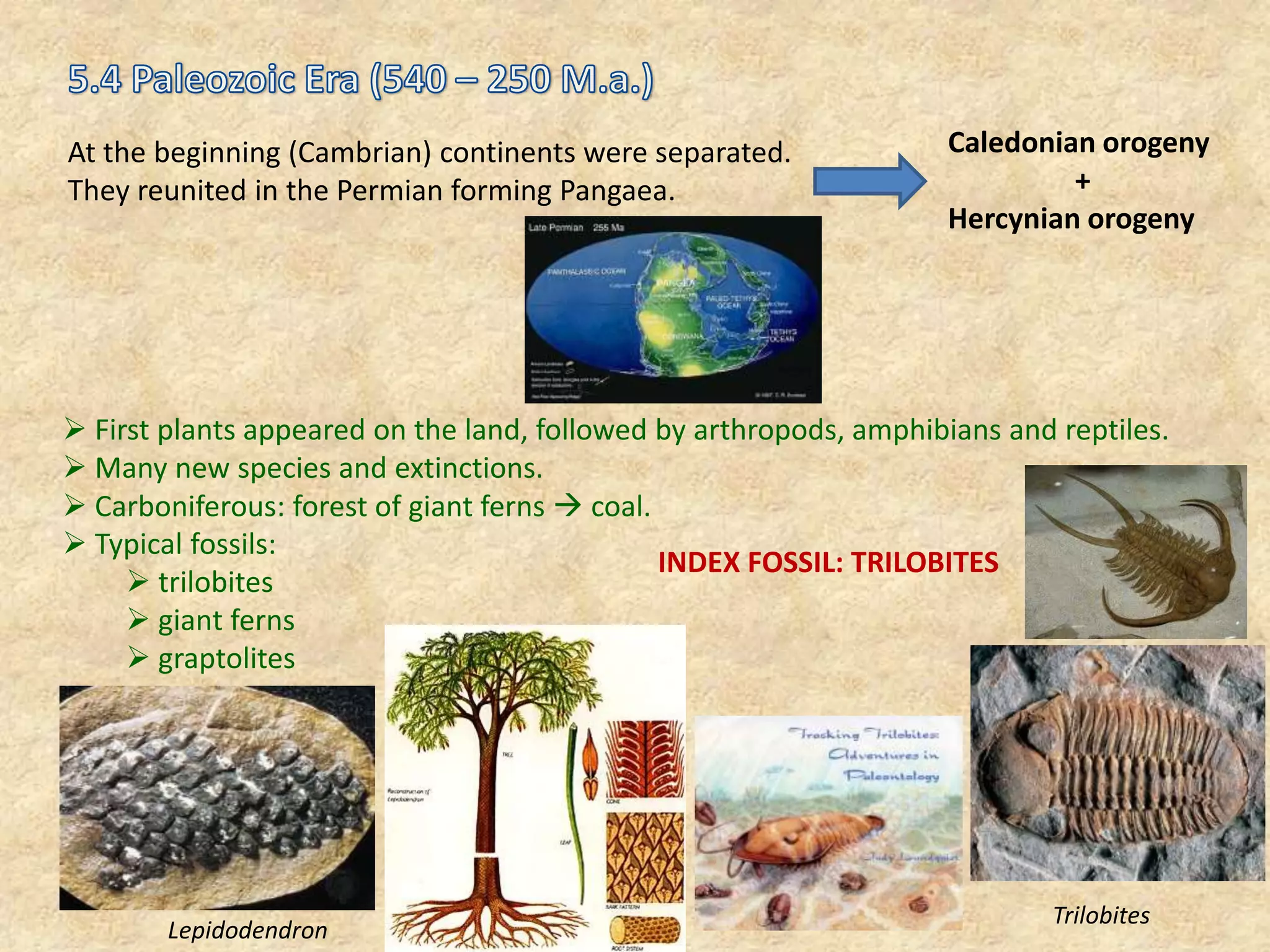 Unit3 The History of the Earth | PPTX