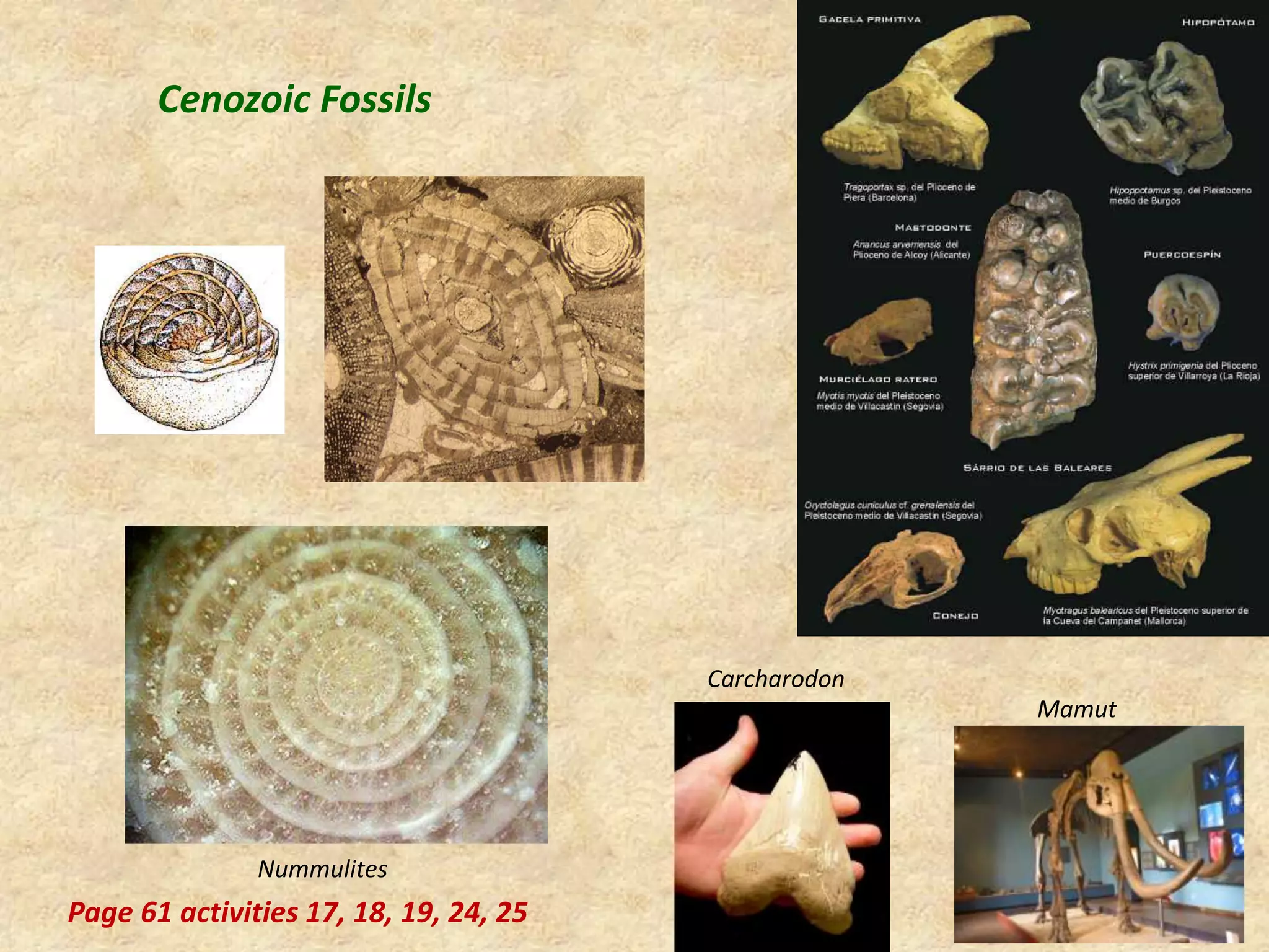 Unit3 The History of the Earth | PPTX