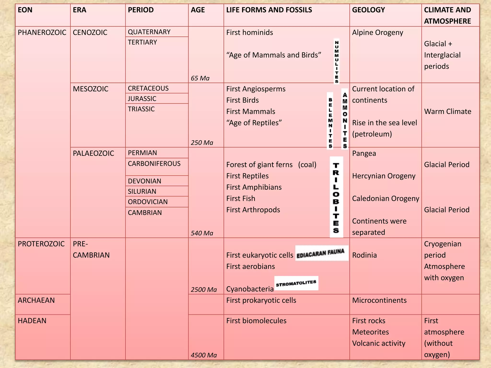 Unit3 The History of the Earth | PPTX