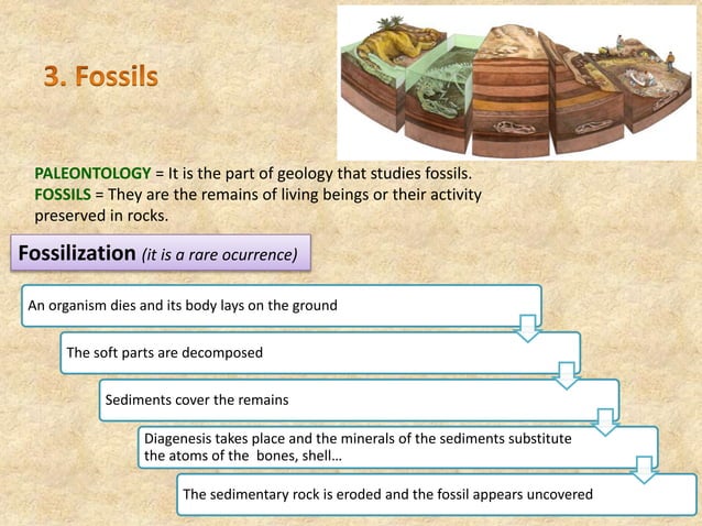 Unit3 The History of the Earth | PPTX