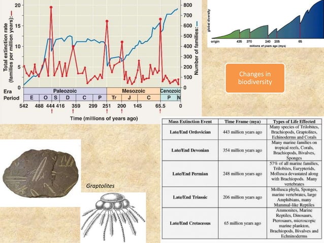 Unit3 The History of the Earth | PPTX