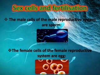 Unit 3 The Human Body and Reproduction. | PPT