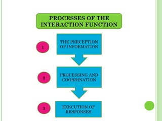 Unit 3 The interaction function | PPT