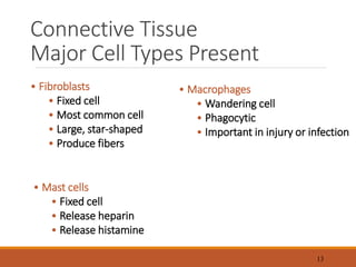 unit 3 tissue.ppt