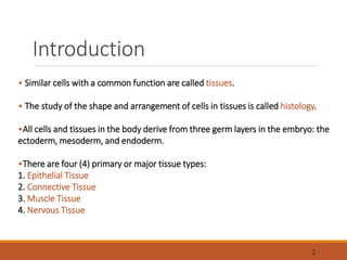 unit 3 tissue.ppt