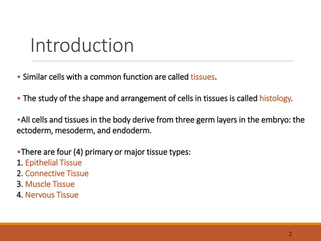 unit 3 tissue.ppt
