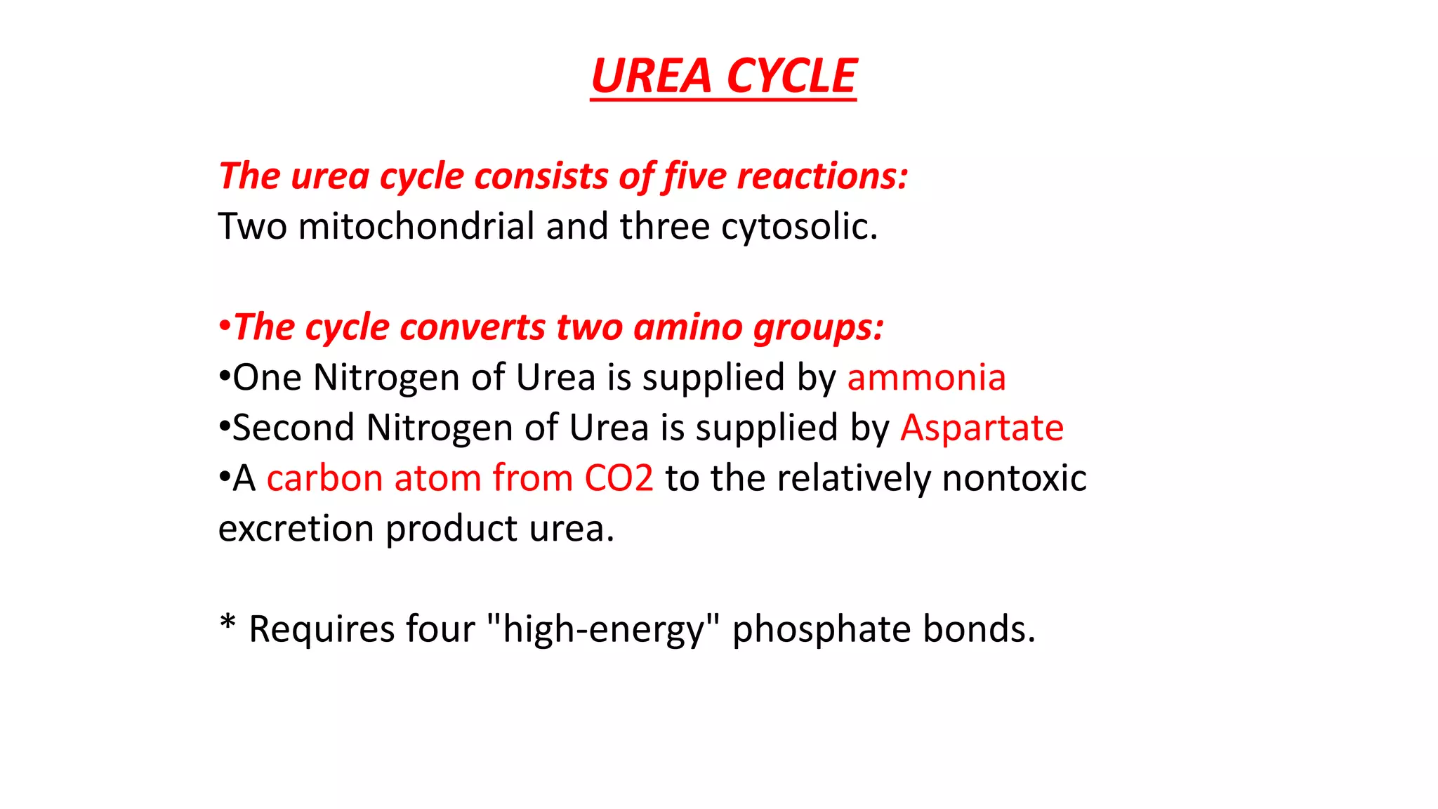 Unit 3 Urea cycle.pptx