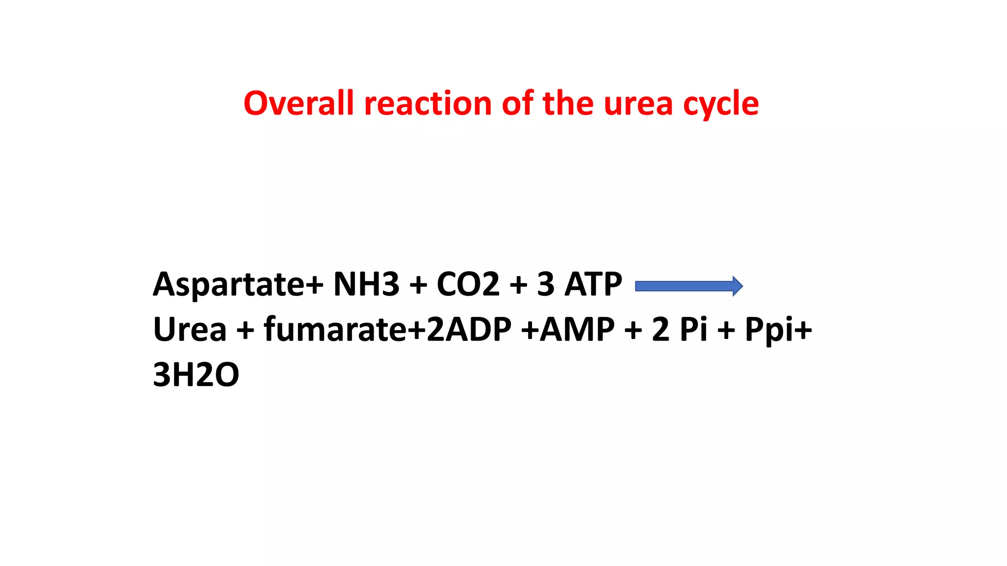 Unit 3 Urea cycle.pptx