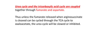 Unit 3 Urea cycle.pptx