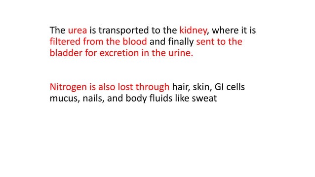 Unit 3 Urea cycle.pptx