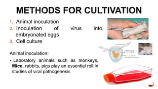 Topic virus and their structure classification replication and ...