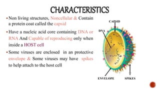 Topic virus and their structure classification replication and ...