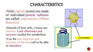 Topic virus and their structure classification replication and ...