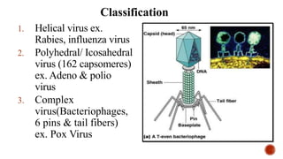 Topic virus and their structure classification replication and ...