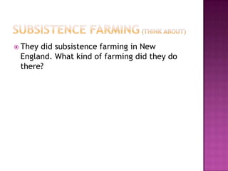 Unit 3 Vocabulary | PPTX