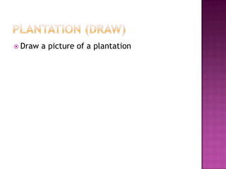Unit 3 Vocabulary | PPTX