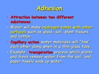 Unit 3 water properties power point | PPT