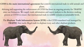 Wildlife trade & related organizations.pdf