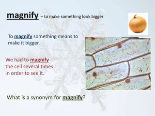 Unit3wk5 vocab introduction1 | PPTX