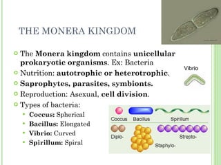 Unit 4: Monera, Protoctist, Fungi and Plants | PPT