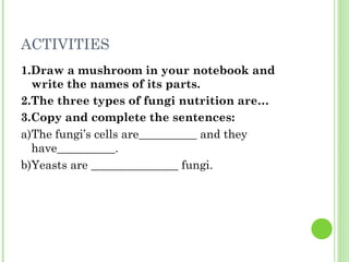 Unit 4: Monera, Protoctist, Fungi and Plants | PPT
