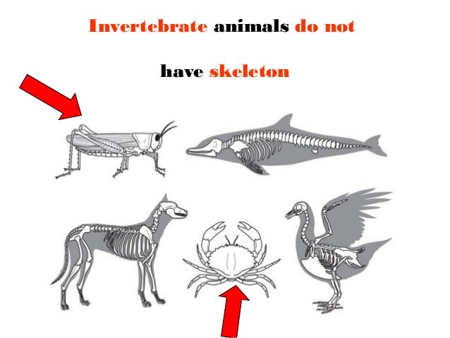 Unit4 151015091721-lva1-app6891