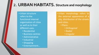 Unit 4. towns and cities | PPTX