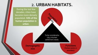 Unit 4. towns and cities | PPTX