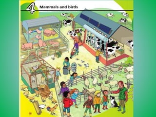 Unit 4. mammals and birds | PPTX