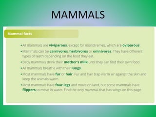 Unit 4. mammals and birds | PPTX