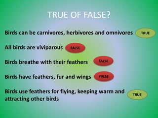 Unit 4. mammals and birds | PPTX | Birds | Pets