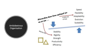 Options for Organisational Structuring | PPT