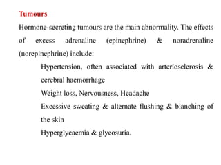 Endocrine System Disorders | PPTX